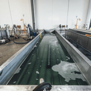 Understanding the Difference Between Pickling and Passivation of ...